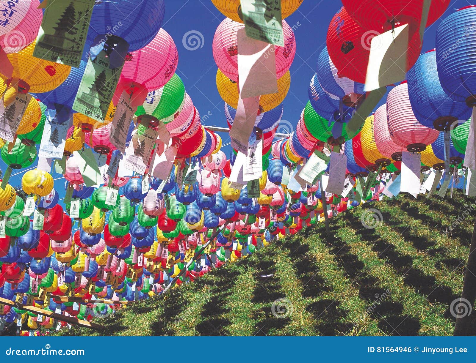 Tailgate Party stock photo. Image of tailgate, full, pool - 81564946