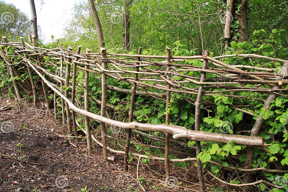 Taillis de haie image stock. Image du rural, clôture - 14398969