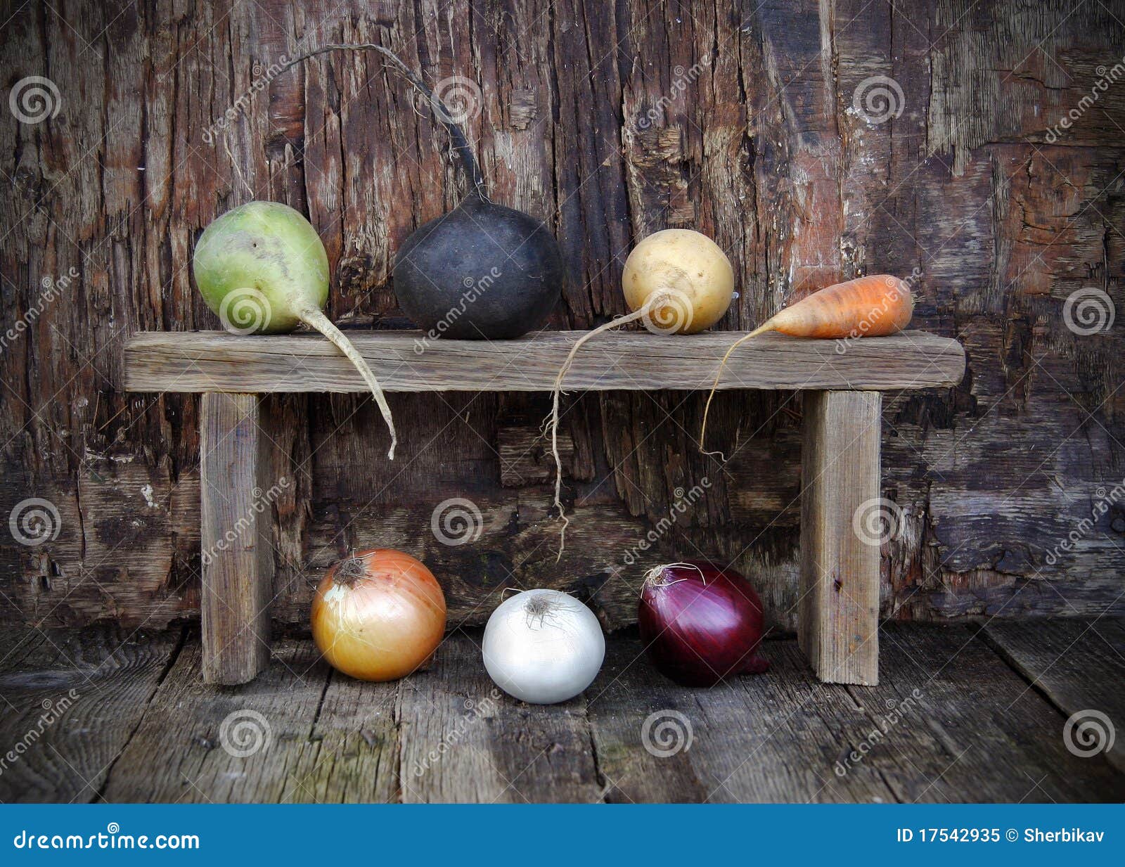 Tails stock image. Image of onion, village, radish, tail - 17542935