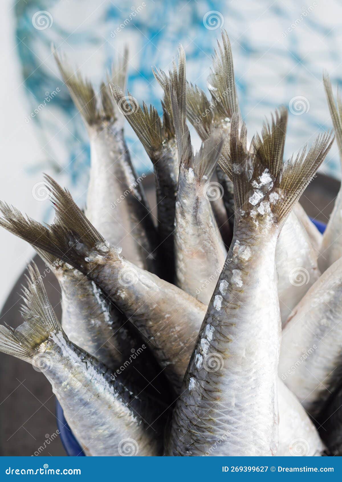 Tails and Scale Fresh Fish in Blue Background Stock Image - Image of ...