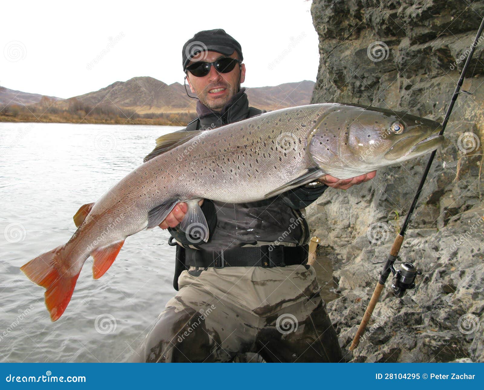 Taimen fishing stock image. Image of angling, polar, hucho - 28104295
