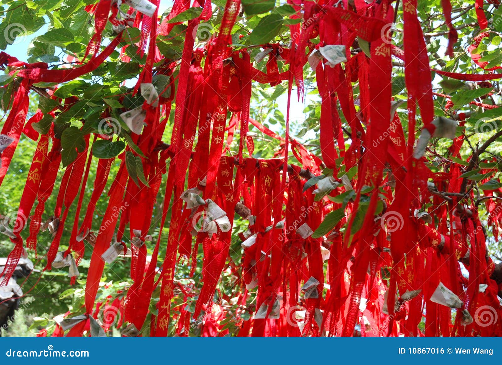 Taishan tree red lines stock photo. Image of heritage - 10867016