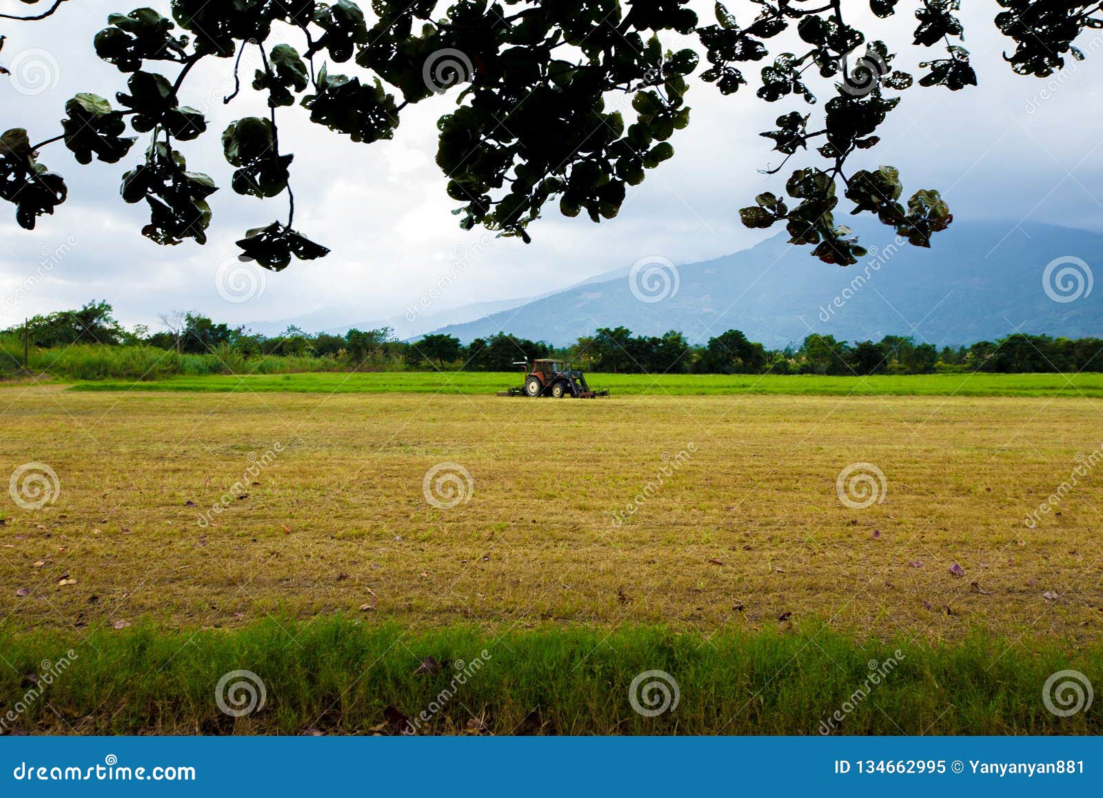 Scenic Landscape of Farm Tractor on Field Stock Image - Image of ...