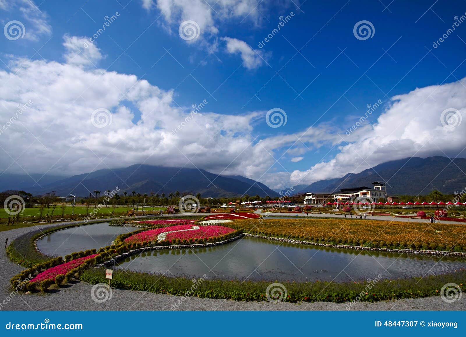 Taiwan Flower Valley in Spring Season Stock Image - Image of taiwan ...