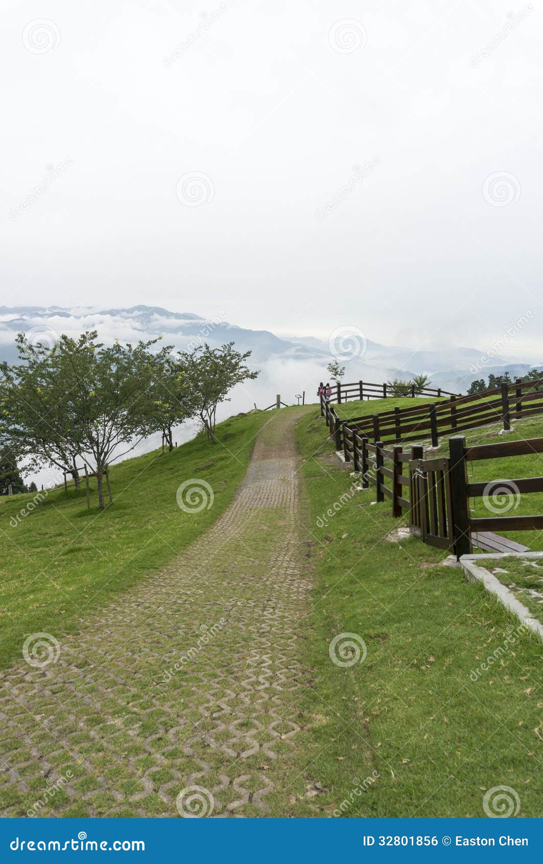 Taiwan Landscape stock photo. Image of plant, grassland - 32801856
