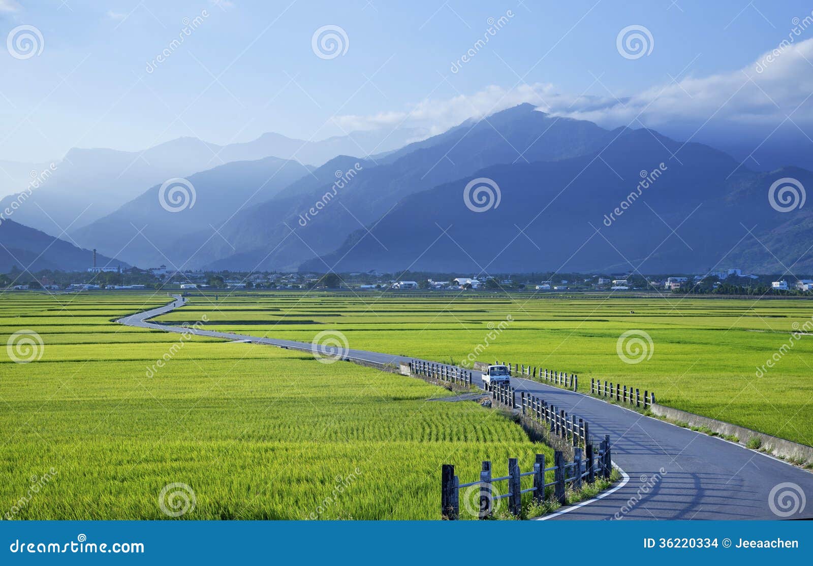 Taiwan rural scenery stock photo. Image of paddy, health - 36220334