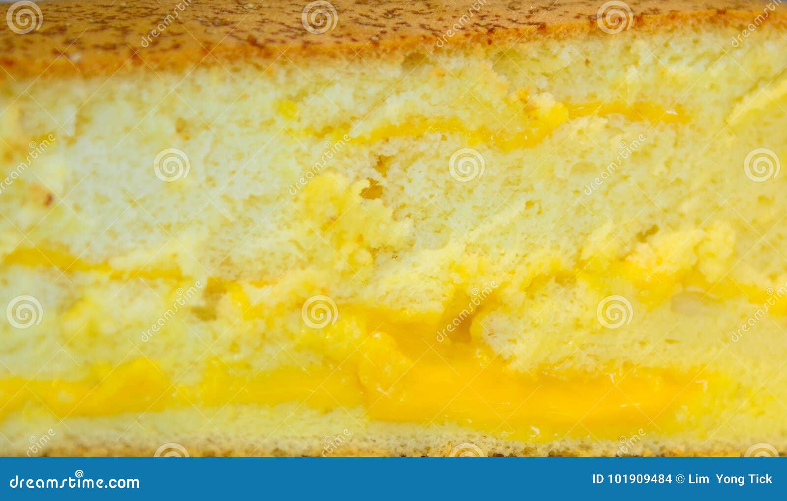 Taiwanese Cheese Sponge Cake Stock Photo - Image of pastry, view: 101909484