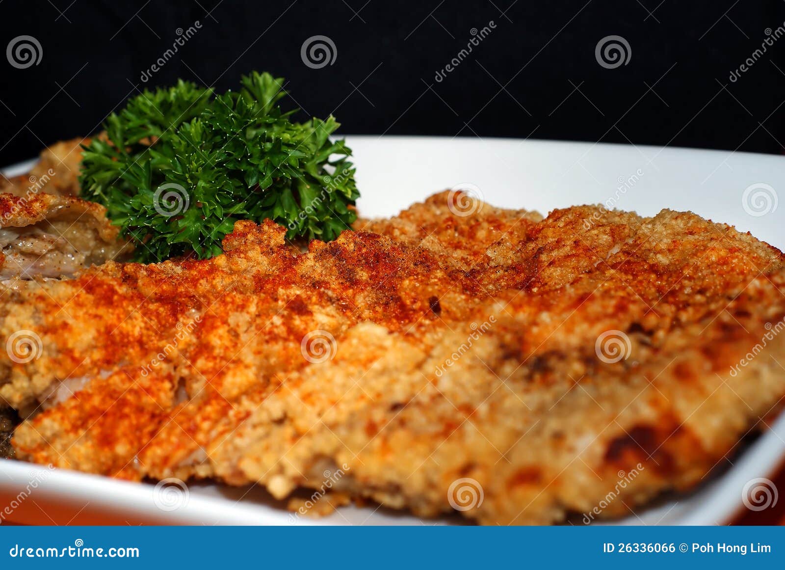 Taiwanese Fried Chicken Chop Stock Photography | CartoonDealer.com ...