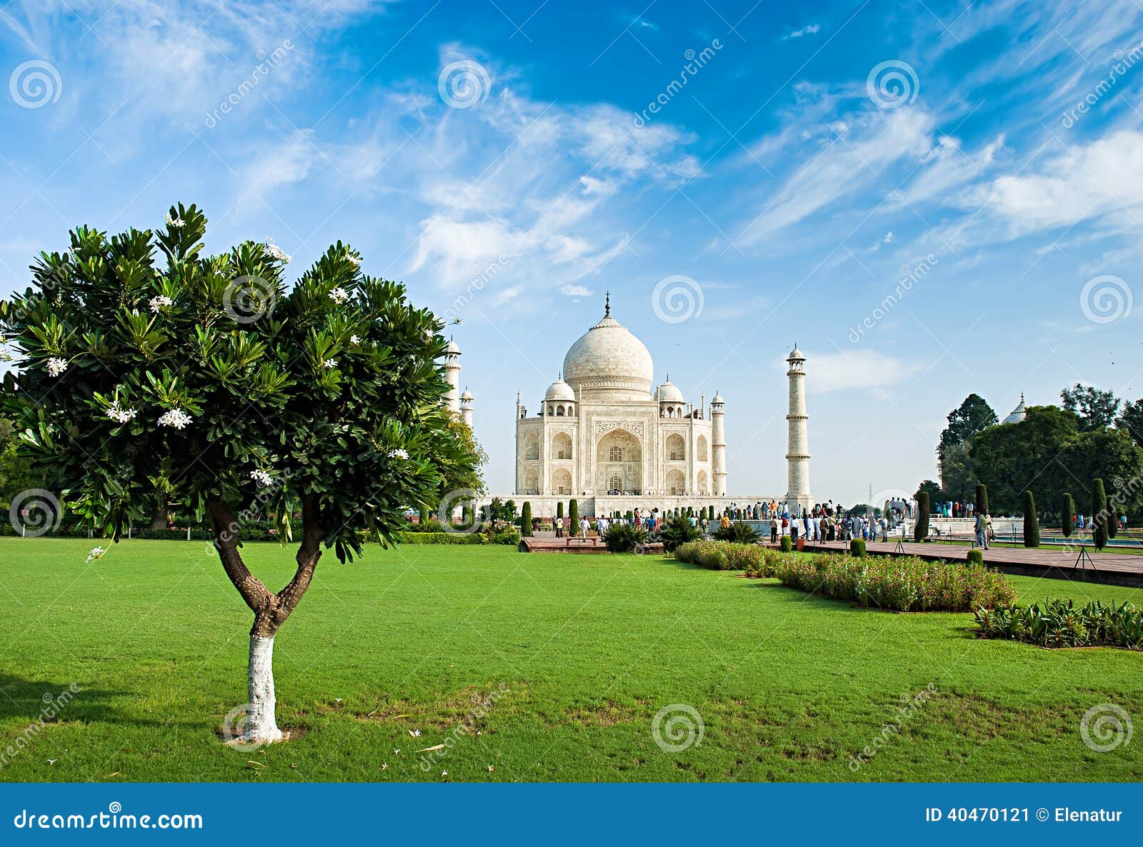 Taj Mahal In Sun Light. Early In The Morning, Back View Behind The ...