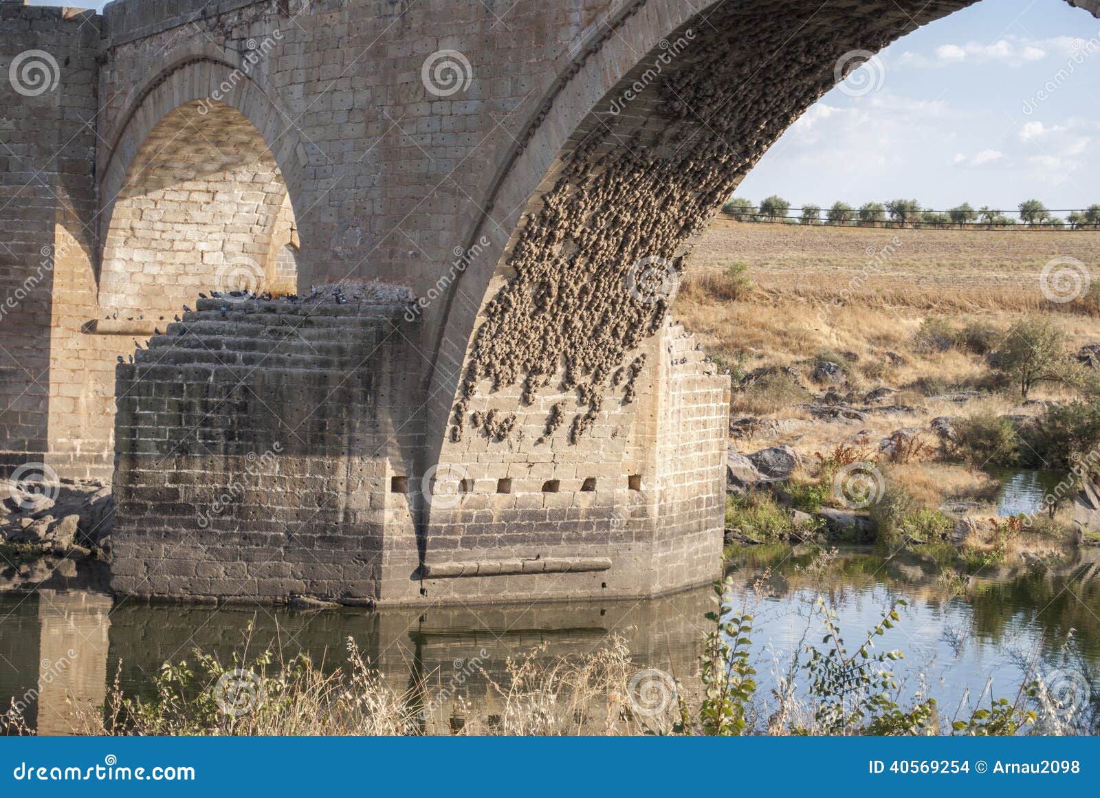 Tajo River stock photo. Image of nature, green, spain - 40569254