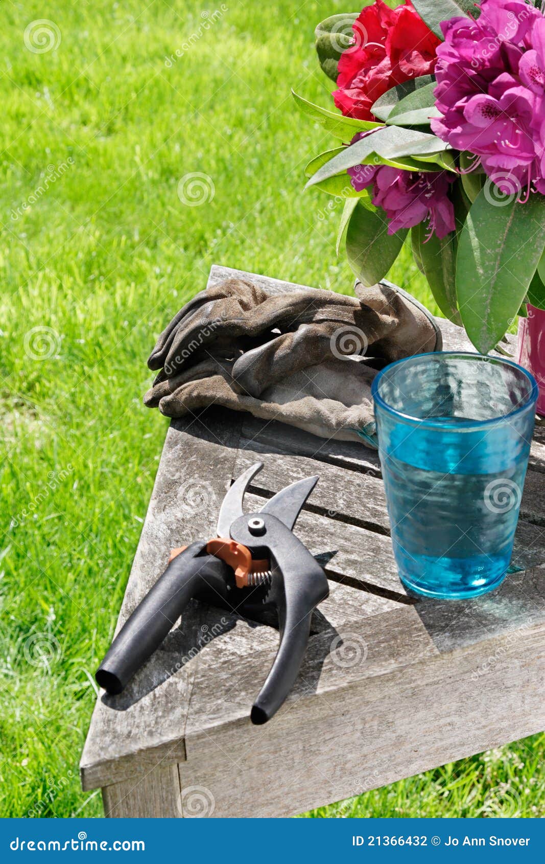 Take a Break from Gardening Stock Photo - Image of gloves, break: 21366432