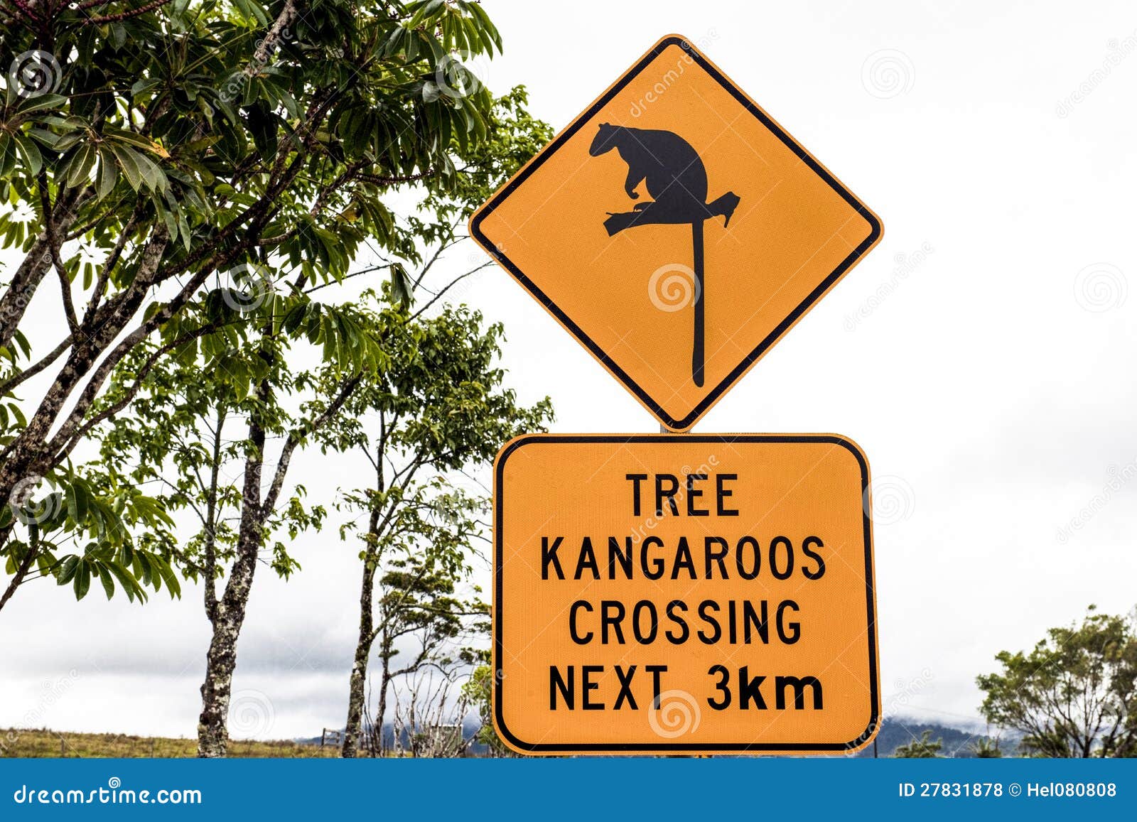 Take Care of the Tree Kangaroos Sign, Traffic Warning Sign, Australia ...
