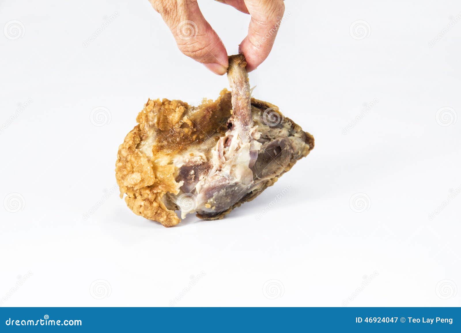 Take the chicken bone stock image. Image of crunchy, bone - 46924047