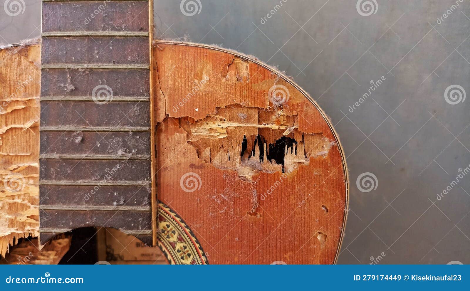 Guitar damage by termites stock image. Image of care - 279174449
