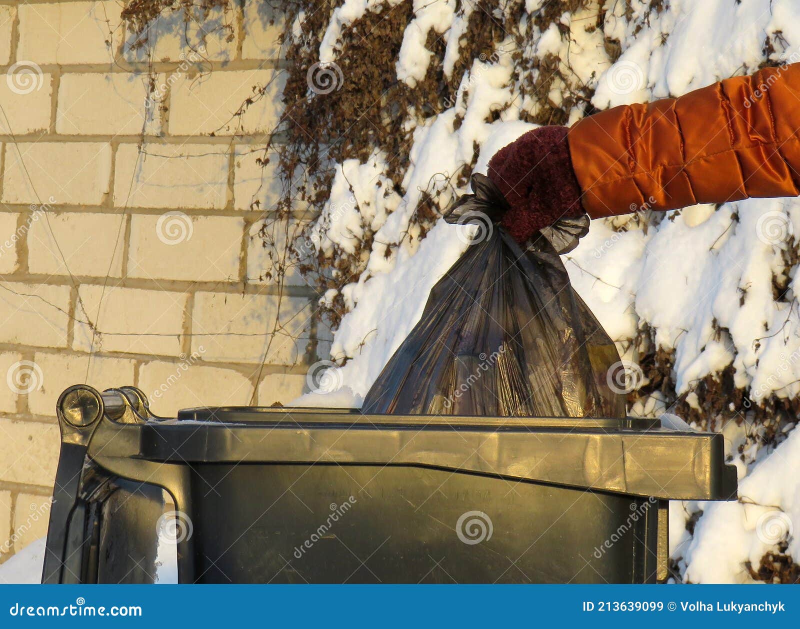 Take Out Trash in a Container Stock Image - Image of pure, recycle ...