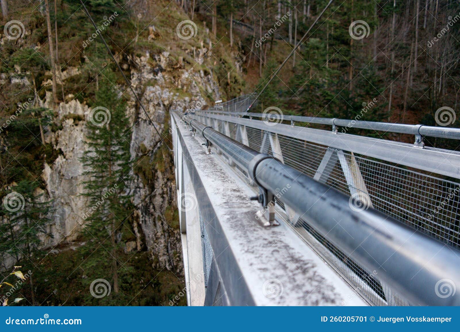 Take the Path To the Other Side Stock Image - Image of autumn, country ...