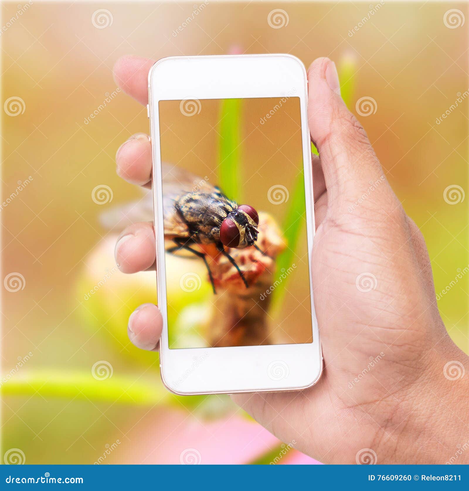 Take Photo by Smart Phone Concept Stock Photo - Image of macro, blood ...