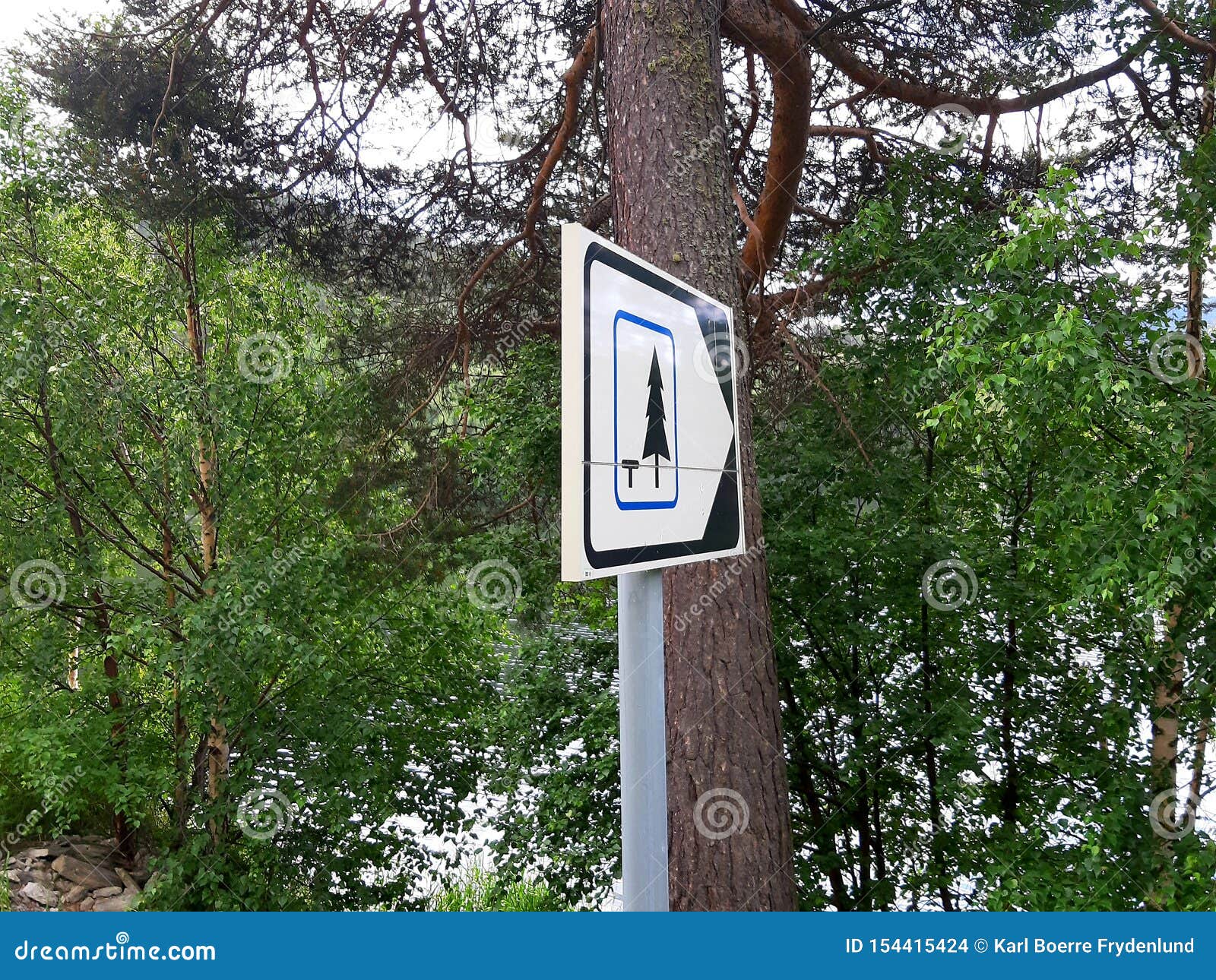 Take a rest by the tree stock photo. Image of symbol - 154415424