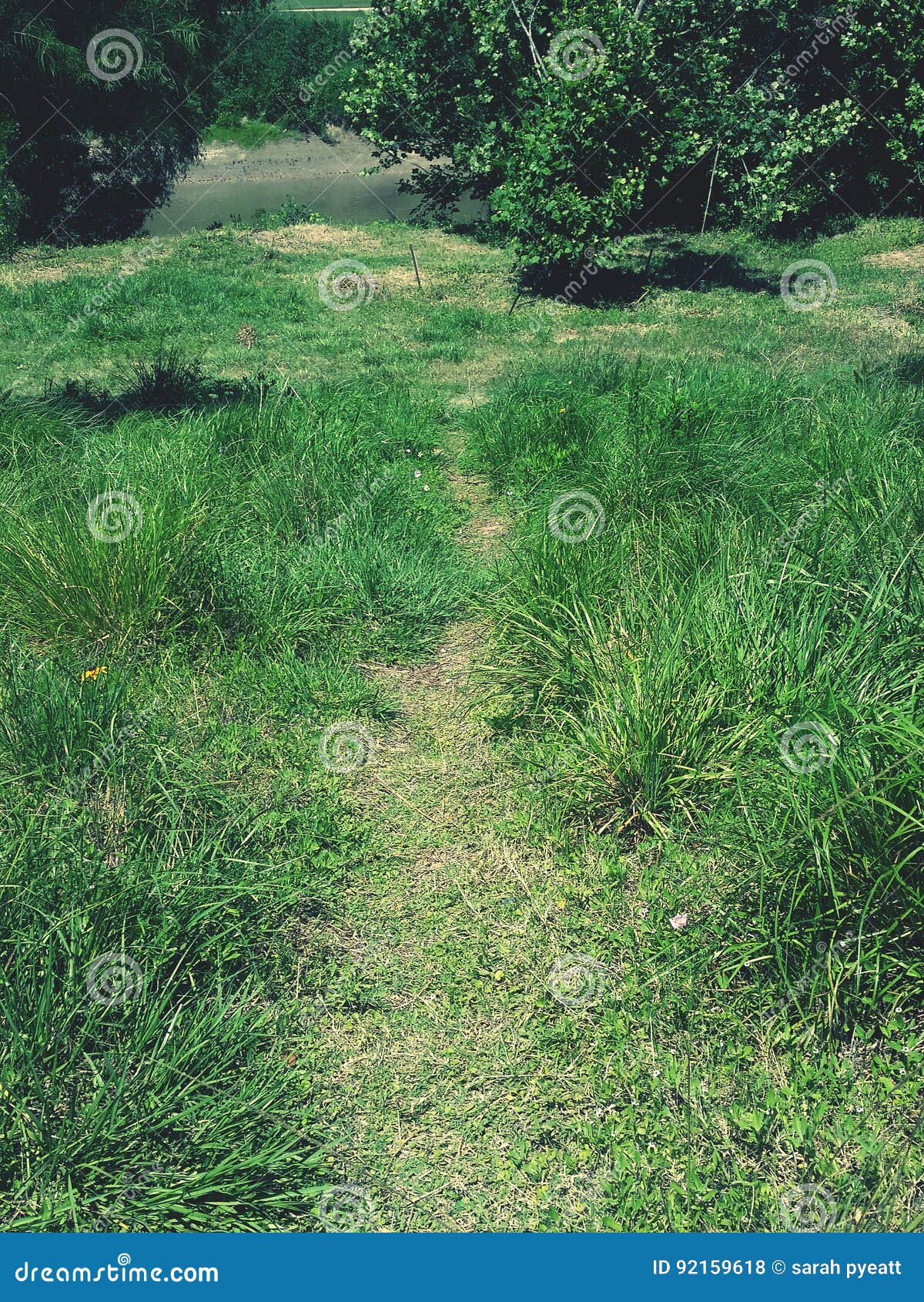 Take the same path stock photo. Image of people, paths - 92159618