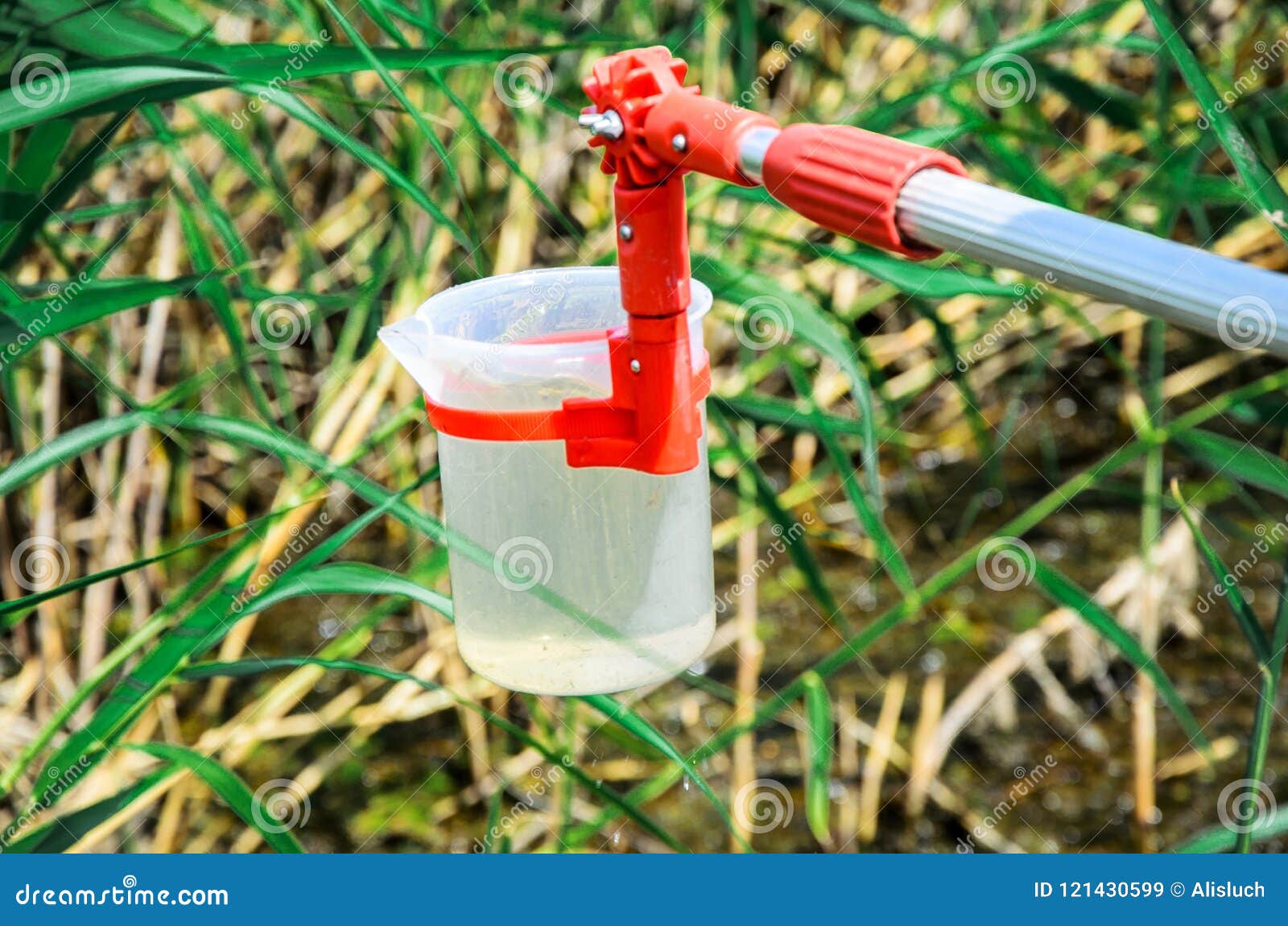 Take Samples of Water for Laboratory Testing. the Concept - Analysis of ...