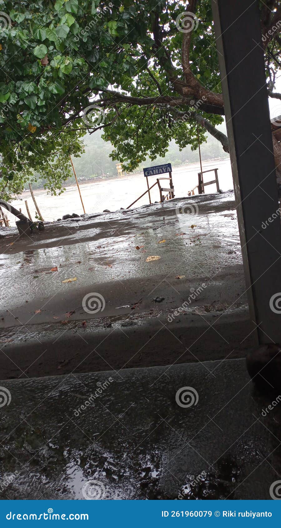 Take Shelter in the Pouring Rain and See the Beautiful Scenery ...