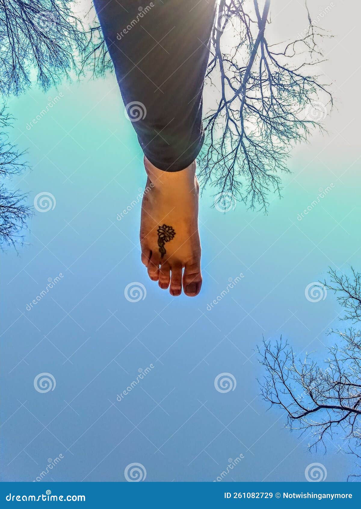 Take a Step with the Sky - Foot Stock Image - Image of trees, frozen ...