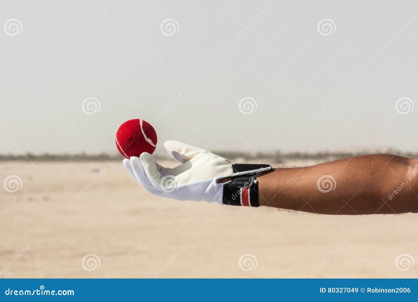Taking the Catch of Red Ball with Hands Stock Image - Image of glove ...