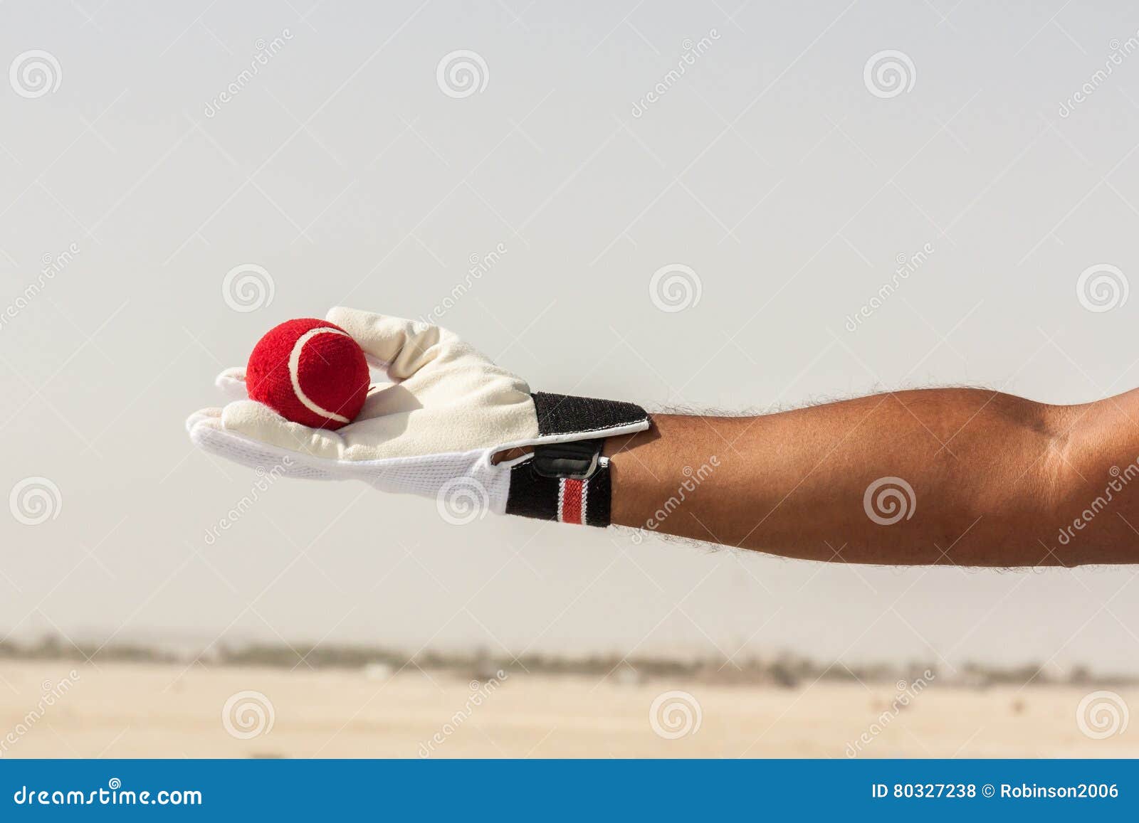 Taking the Catch of Red Ball with Hands Stock Photo - Image of ...
