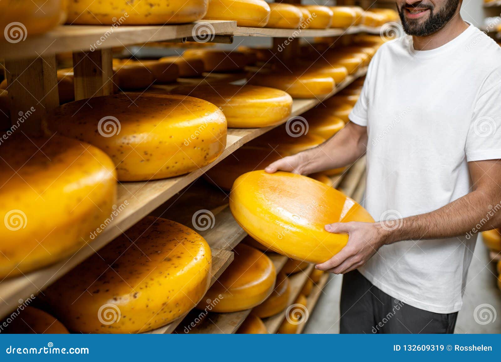 Taking Cheese Wheel at the Manufacturing Stock Image - Image of ...