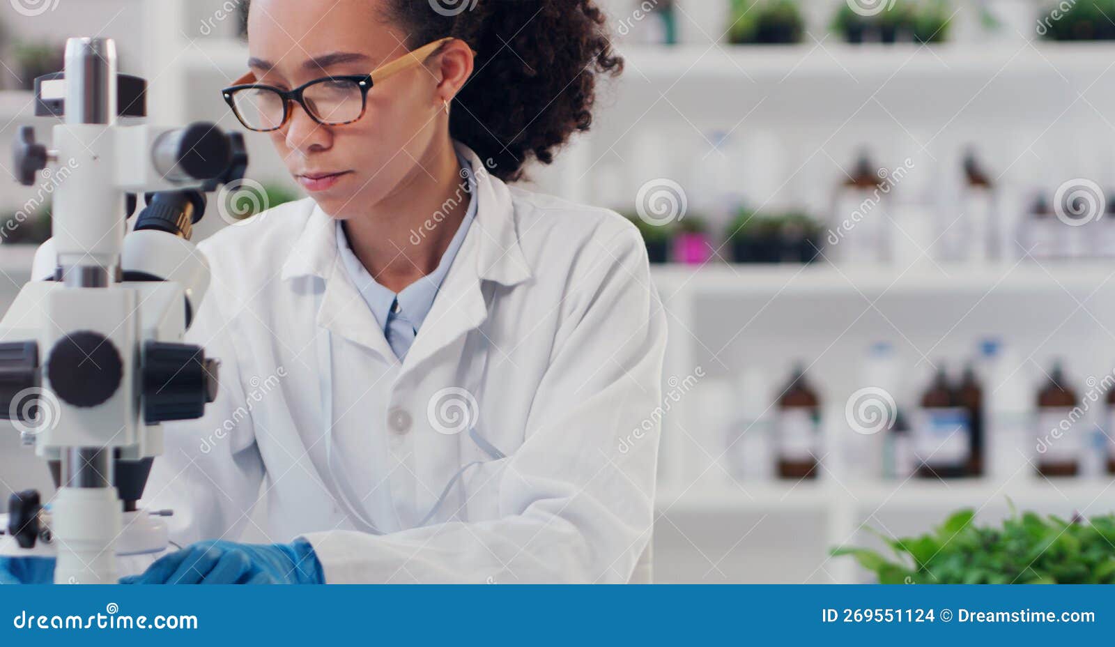 Taking a Closer Look at the Physical Make Up of Plants. a Young ...