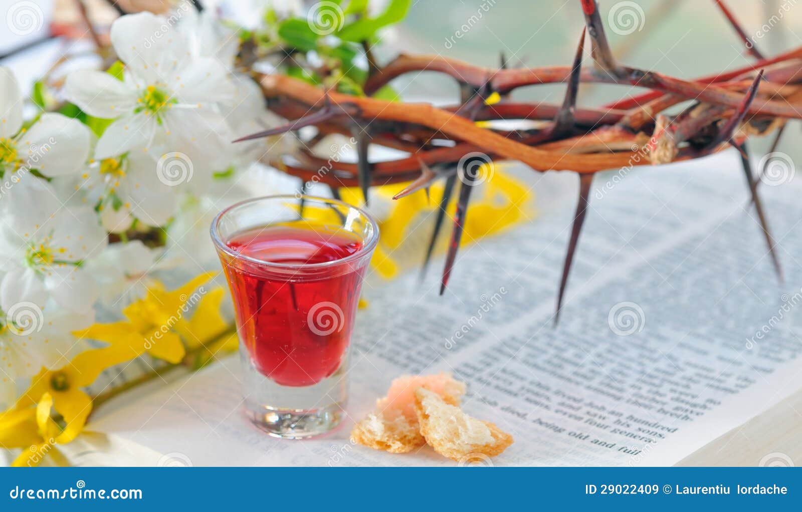 Taking Communion stock image. Image of grapes, grace - 29022409