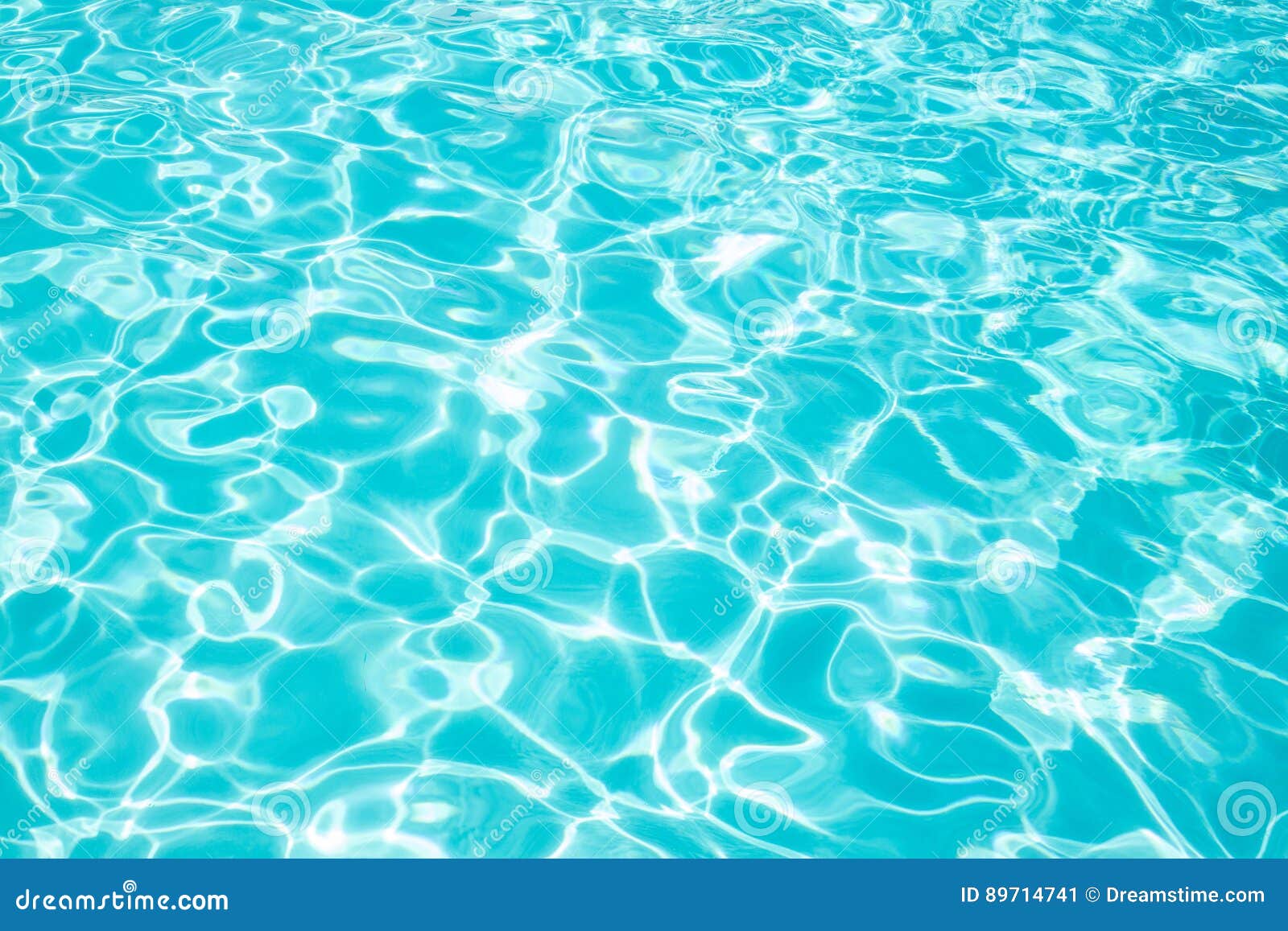 Taking a dip stock image. Image of aqua, summerfun, summer - 89714741