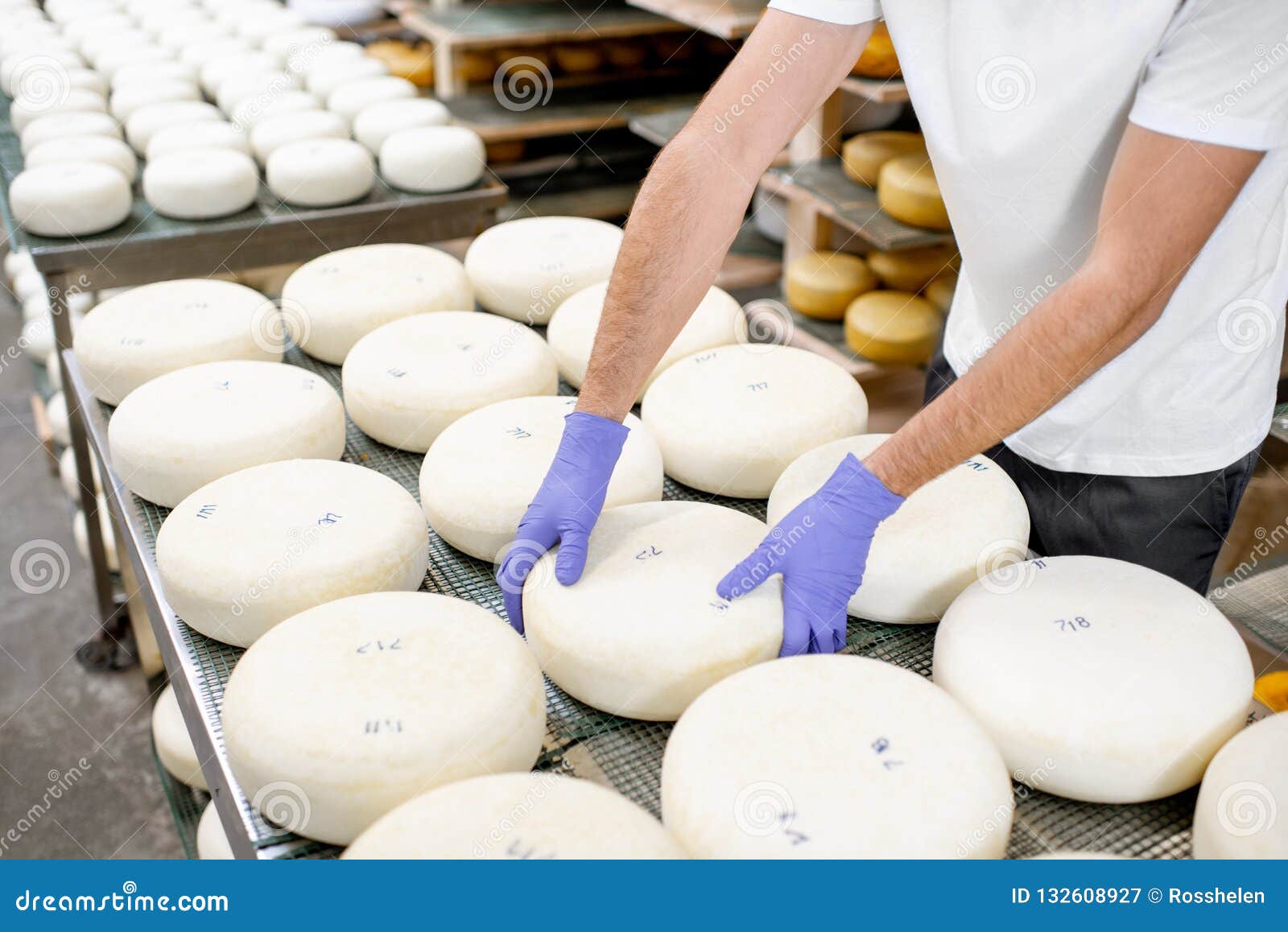Taking fresh cheese wheel stock image. Image of hands - 132608927