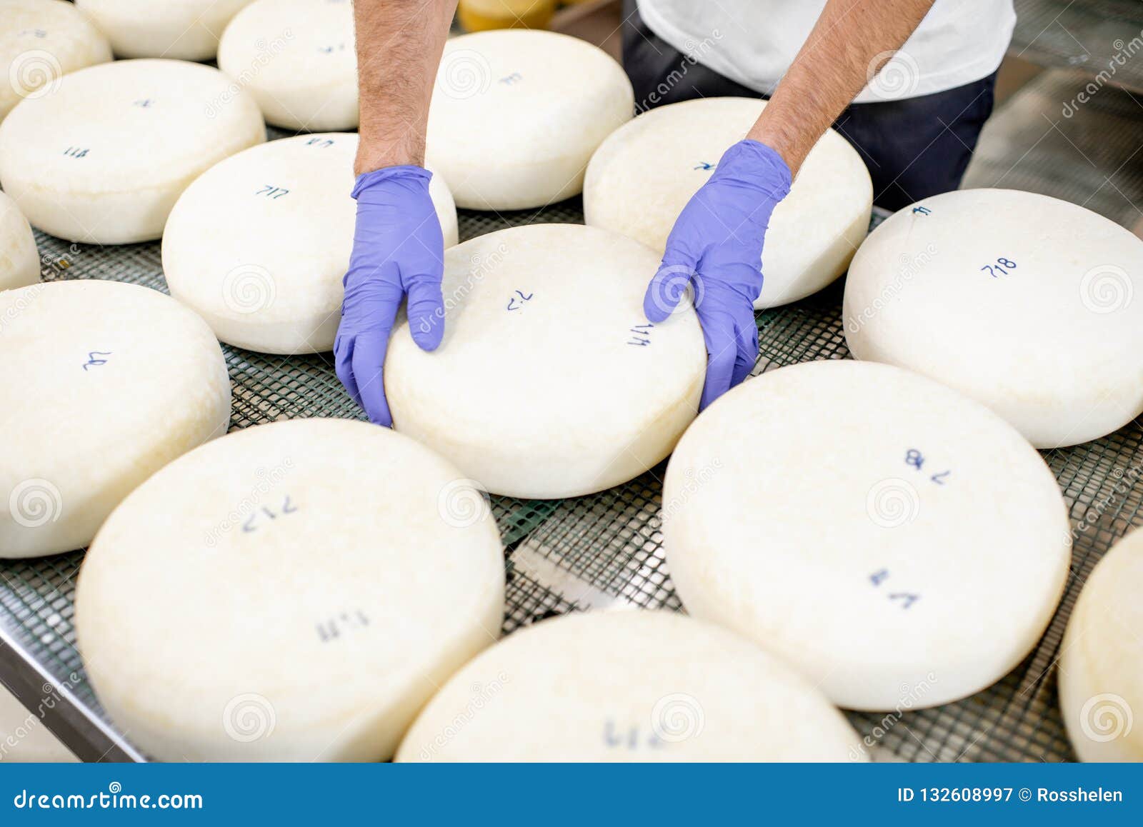 Taking fresh cheese wheel stock image. Image of fresh - 132608997