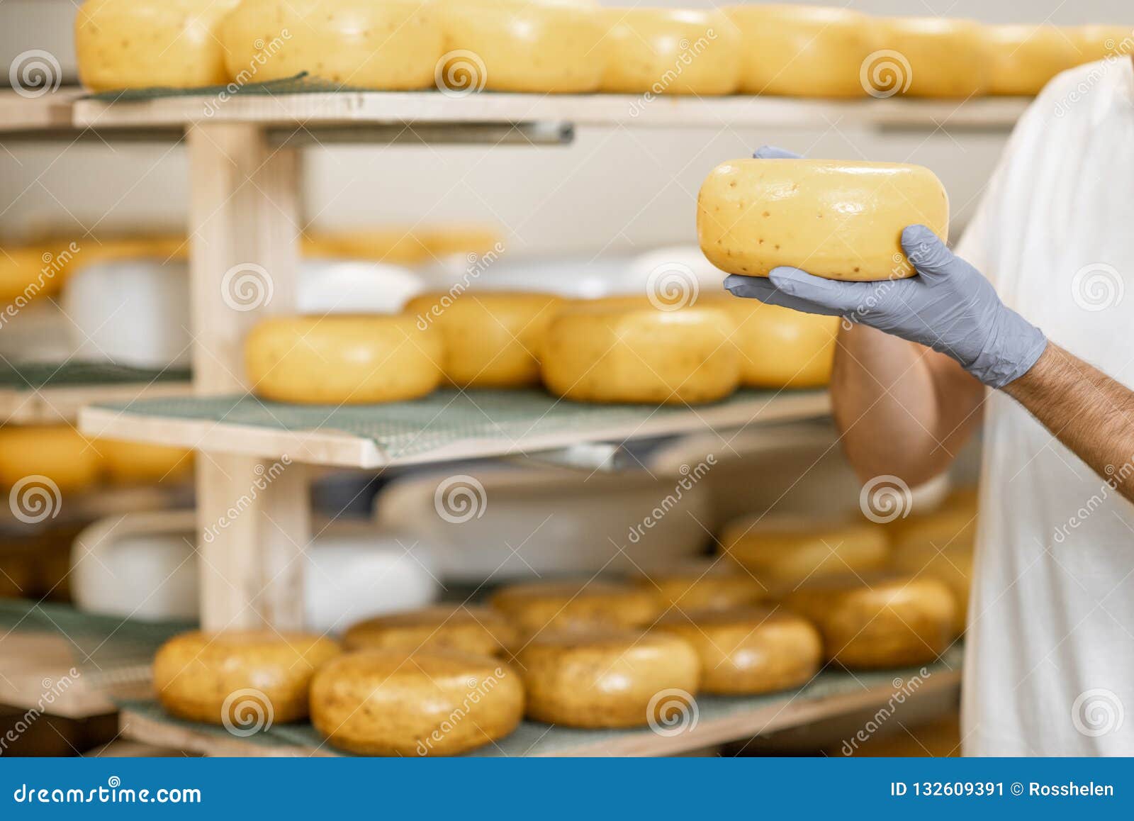 Taking fresh cheese wheel stock image. Image of traditional - 132609391