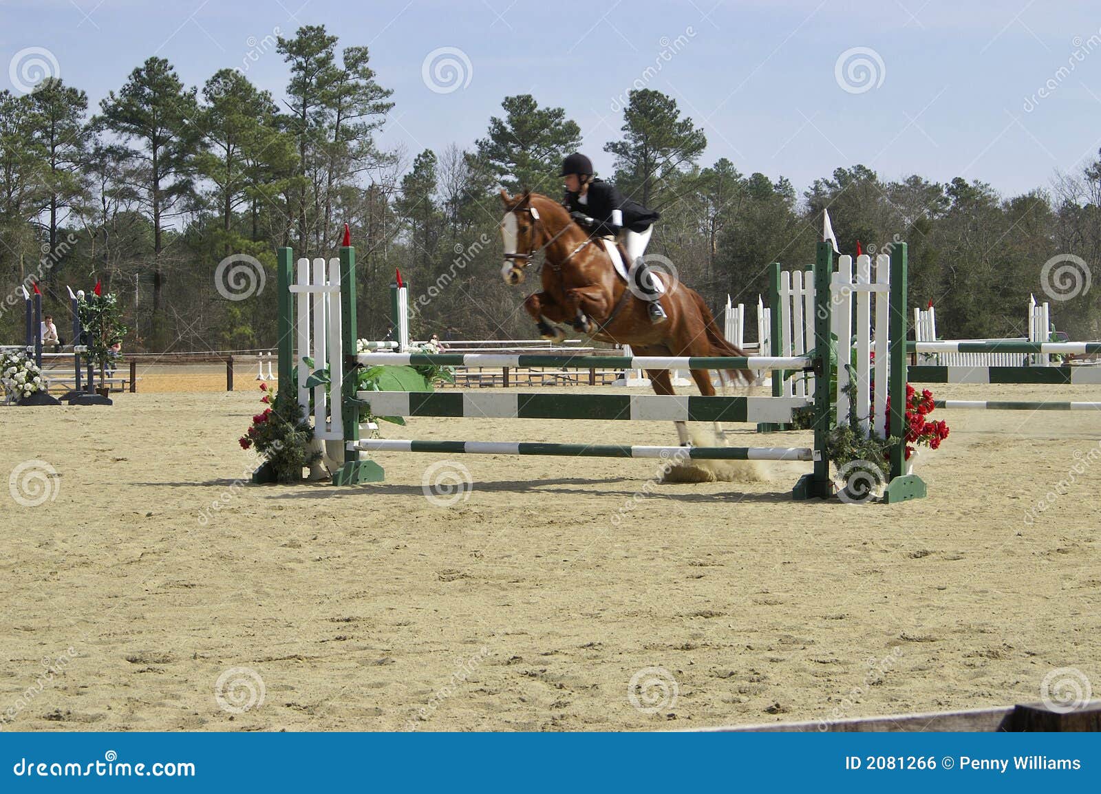Taking the jump stock photo. Image of steeplechase, power - 2081266