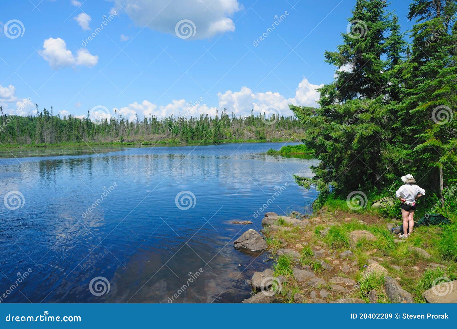 Taking a Moment To Enjoy the Wilderness Stock Image - Image of natural ...