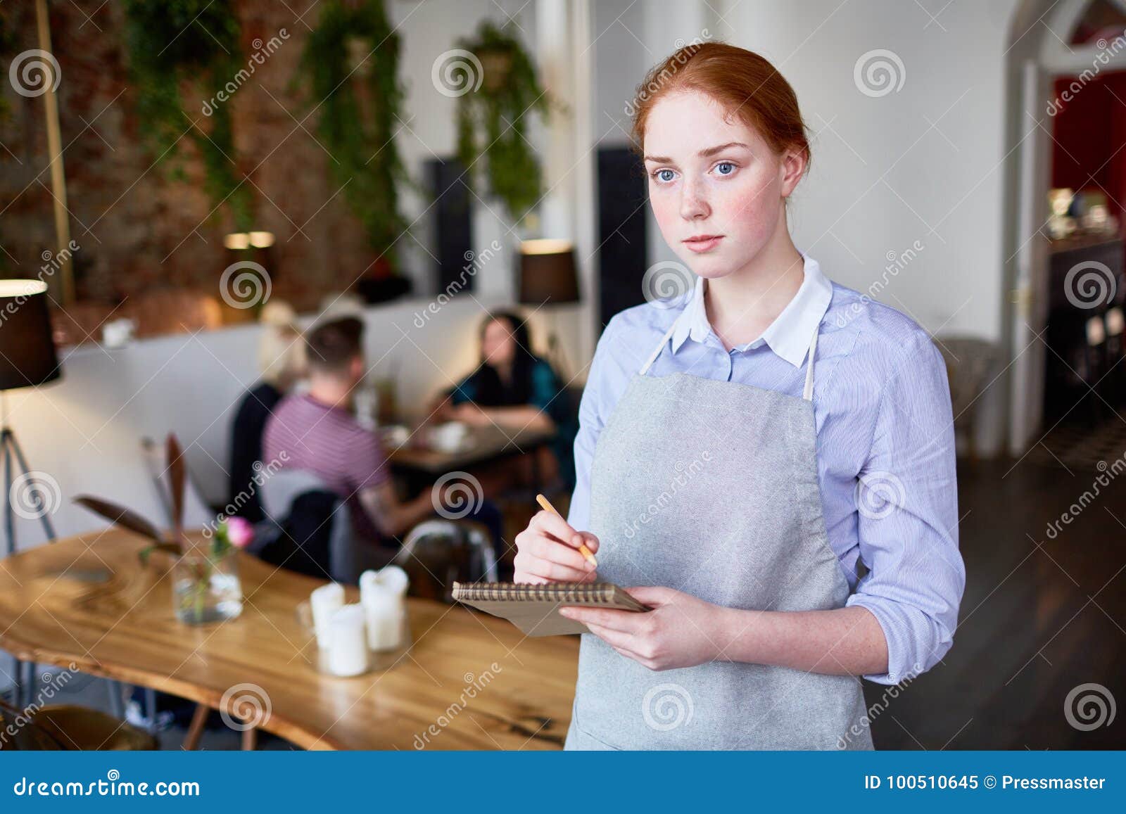 Taking order stock image. Image of redhair, waitress - 100510645