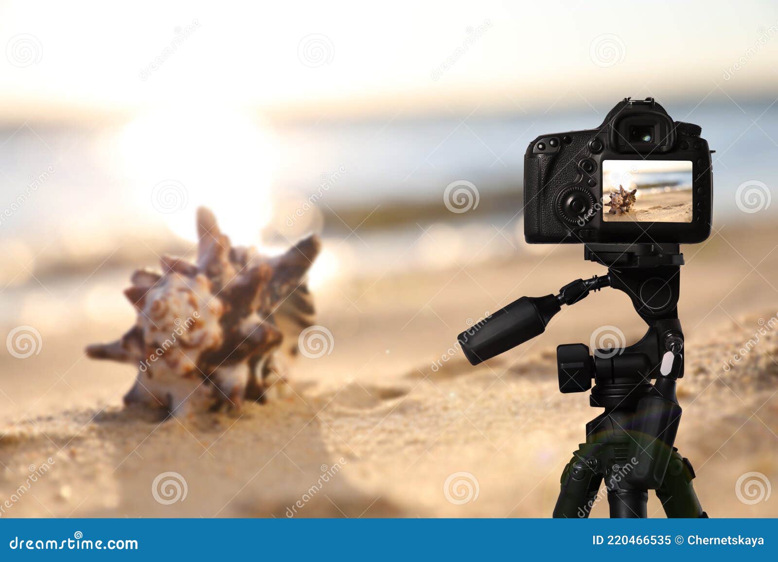 Taking Photo of Sandy Beach and Sea Shell with Camera Mounted on Tripod ...
