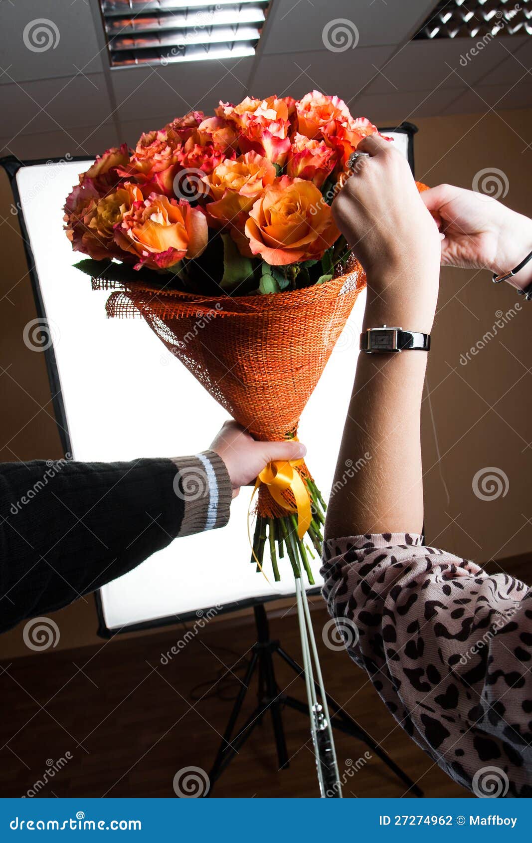 Taking Pictures of Flowers in the Studio Stock Photo - Image of ...