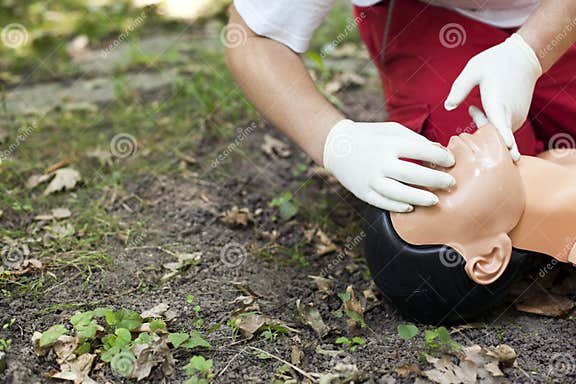 Taking pulse stock image. Image of check, exercise, injury - 32553455