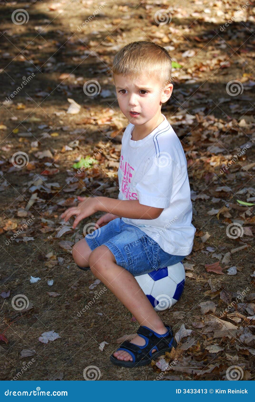 Taking a rest stock image. Image of blonde, leaves, relaxing - 3433413
