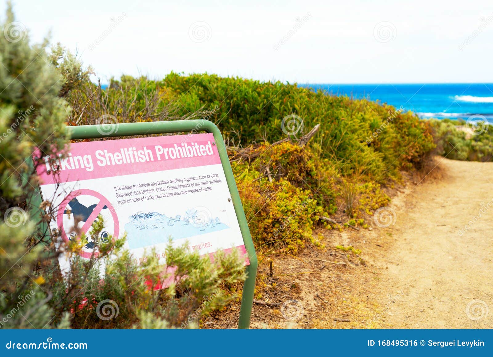 `Taking Shellfish Prohibited` Sign on a Beach Stock Photo - Image of ...