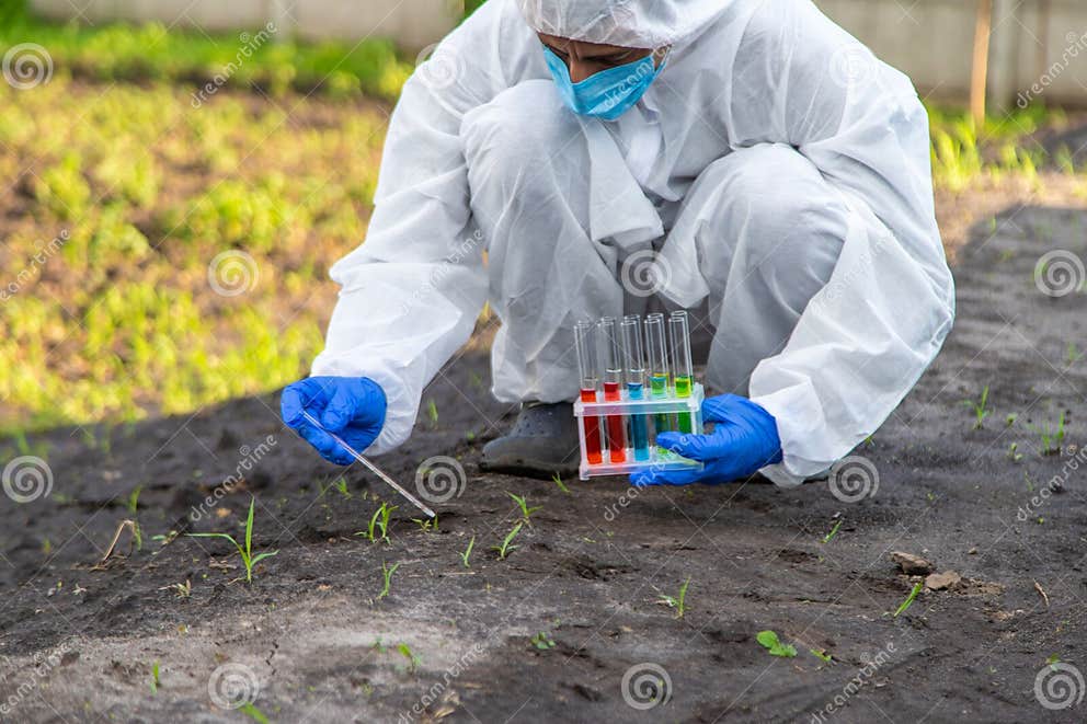 Taking Soil Samples from the Field. Selective Focus Stock Photo - Image ...