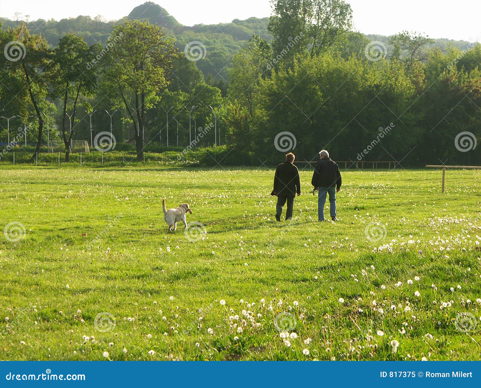 Taking a stroll stock image. Image of relation, relationship - 817375