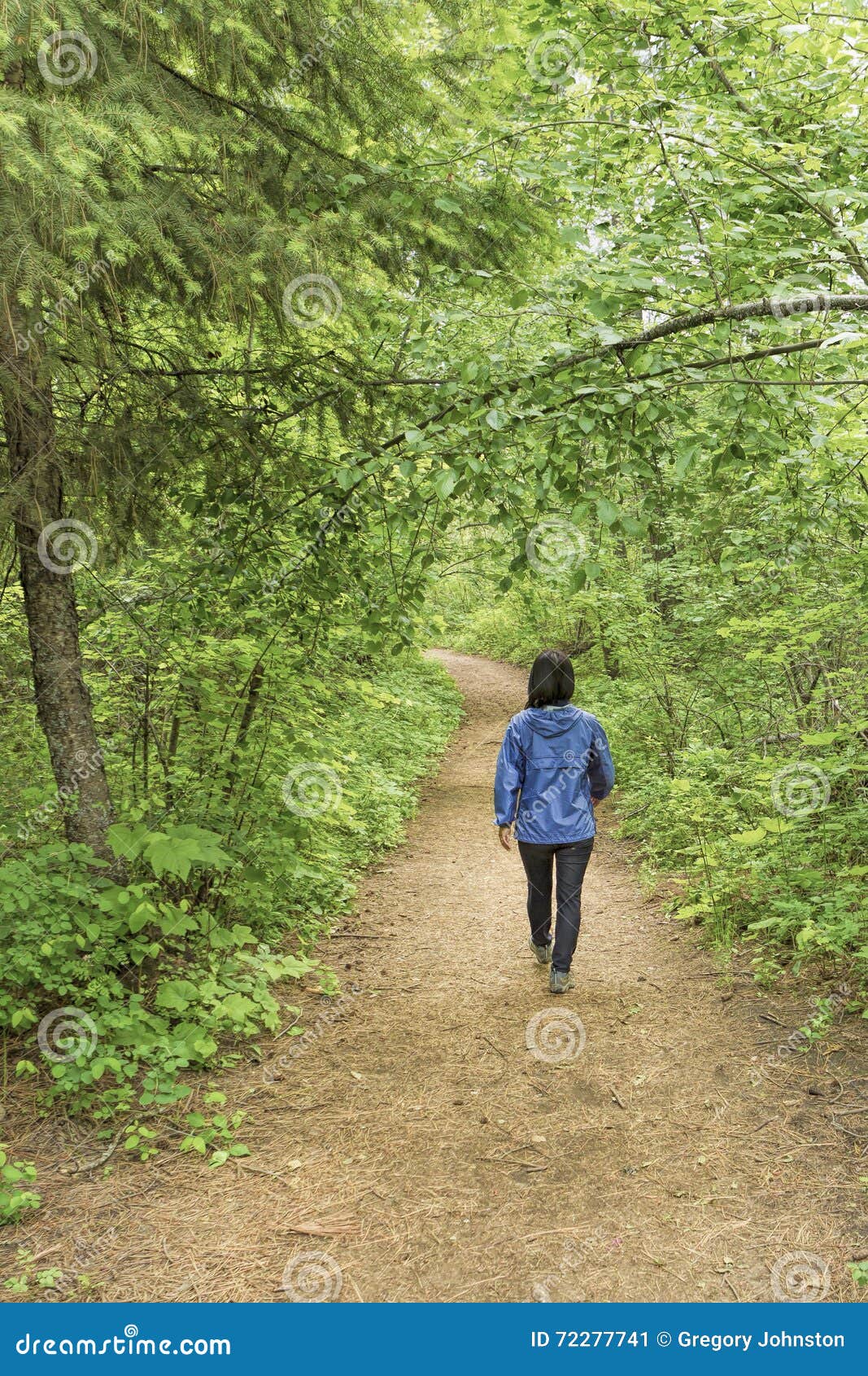 Taking a Stroll in the Woods. Stock Image - Image of leisure, girl ...