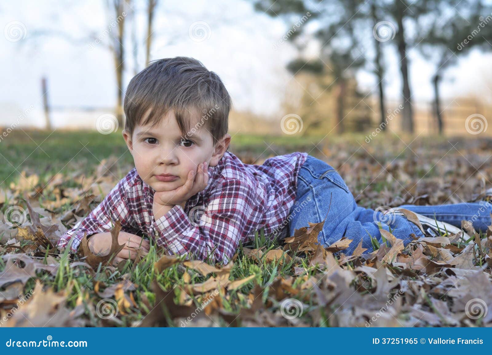 Little Boy Laying in the Leaves Stock Image - Image of soul, leaves ...