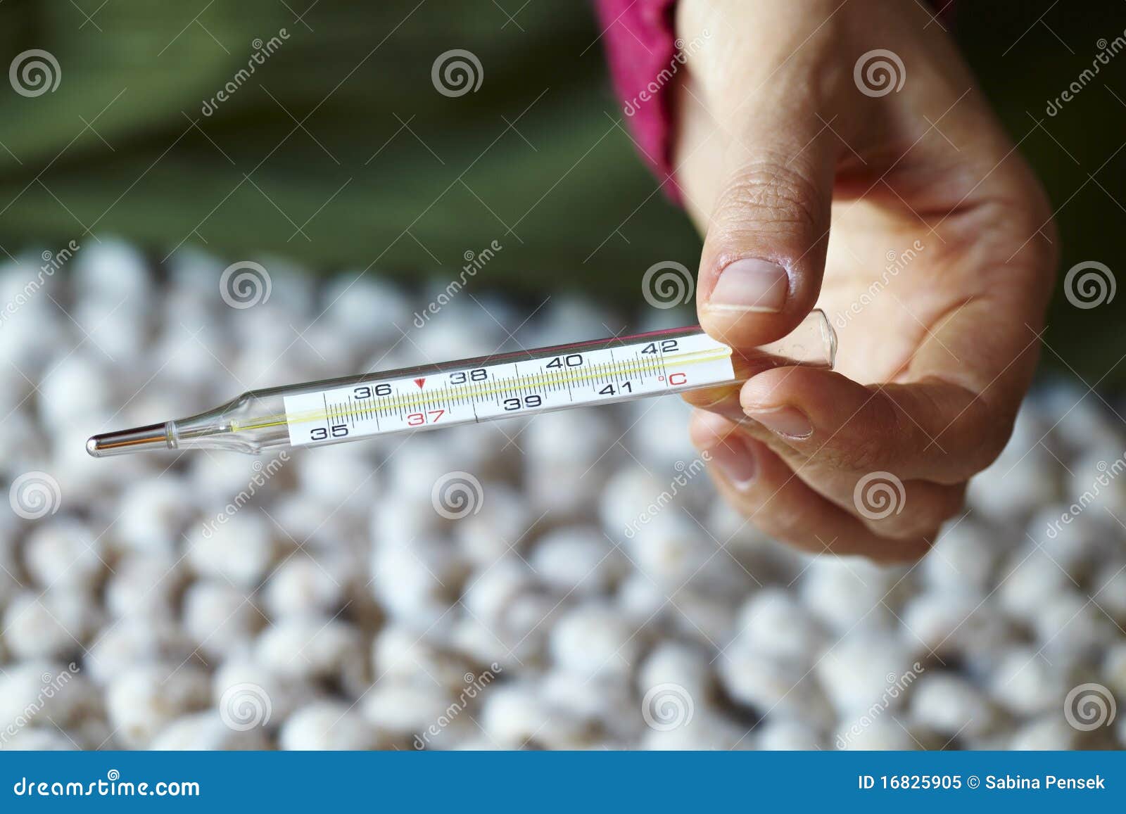 Taking Temperature with a Thermometer Stock Image - Image of winter ...