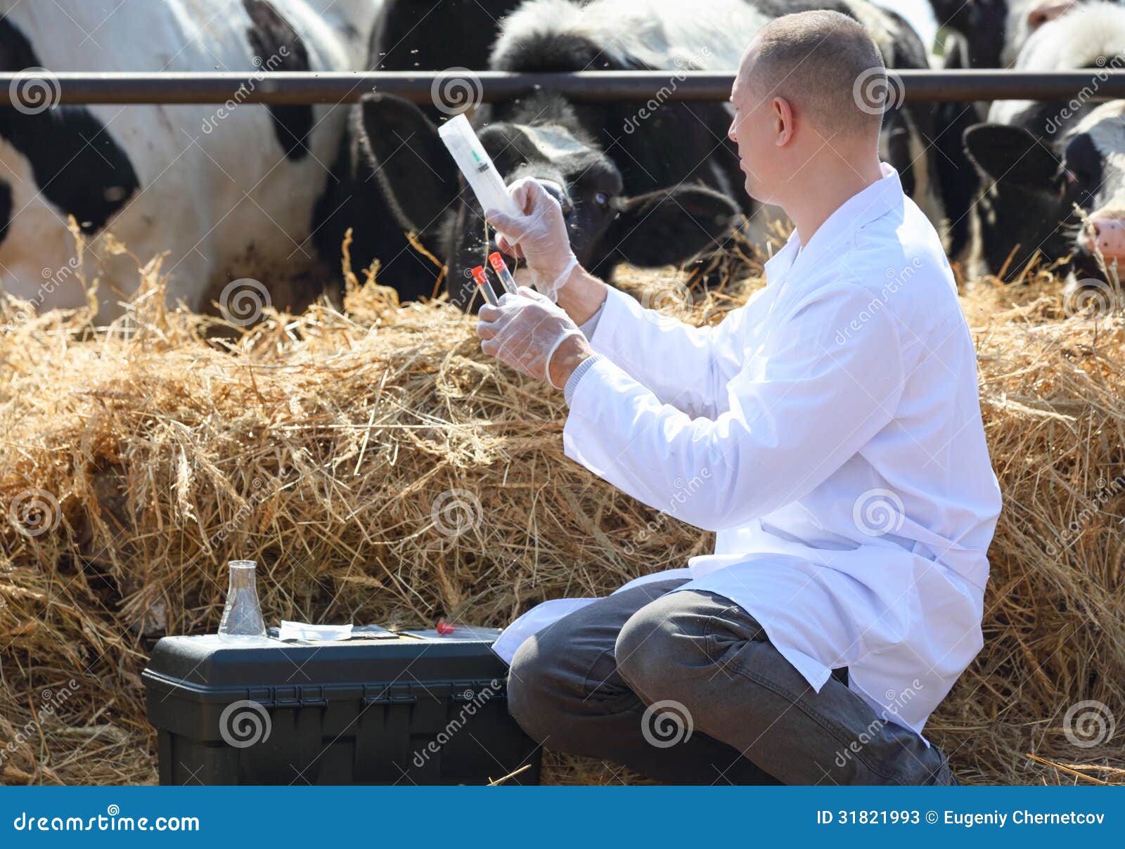 Taking tests stock image. Image of agriculture, checkup - 31821993