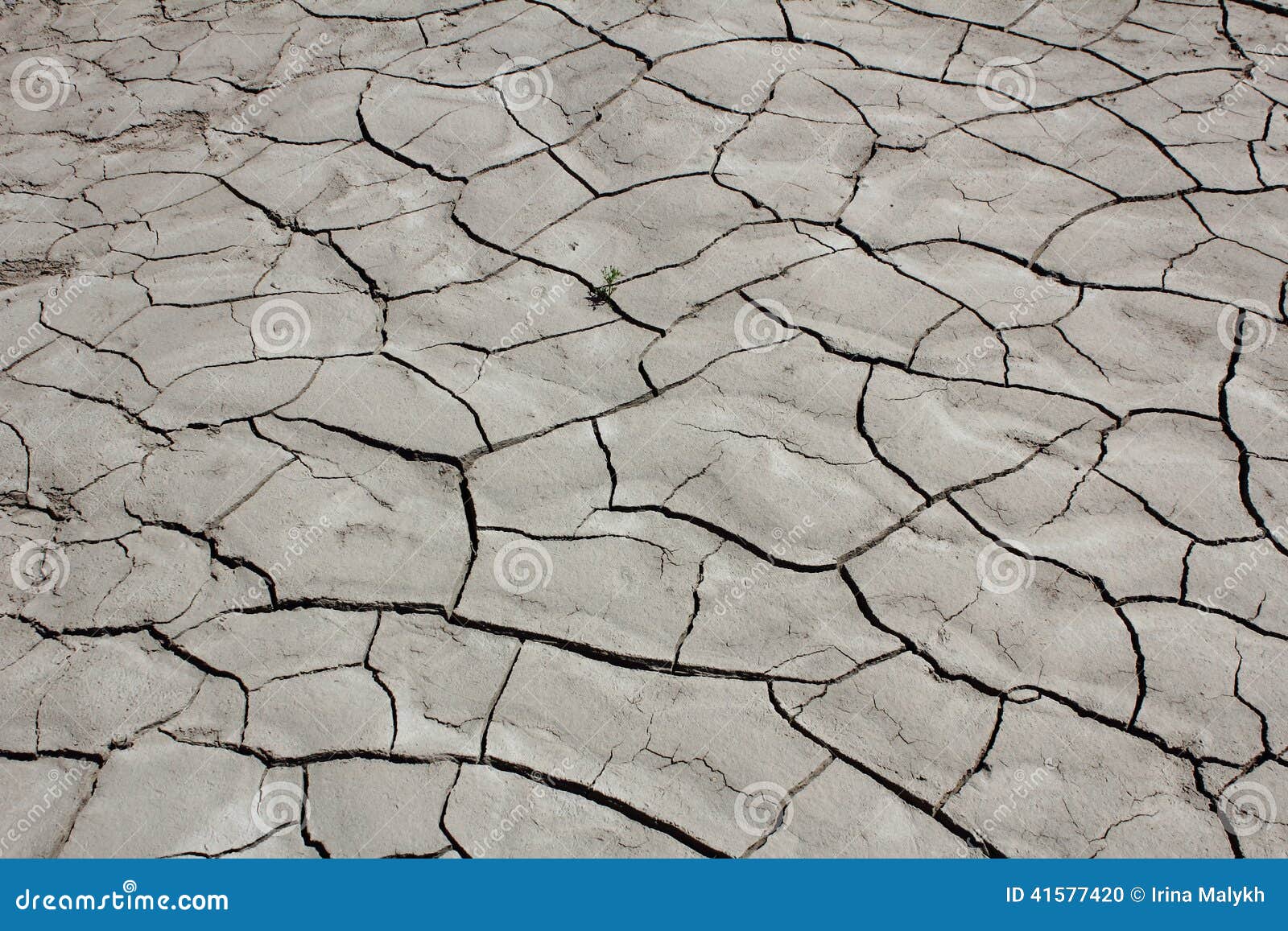 Takir soil in desert stock photo. Image of land, wild - 41577420